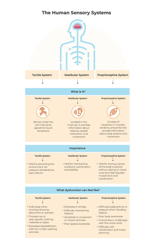 Sensory Issues and Autism: A Guide for Parents & Caregivers