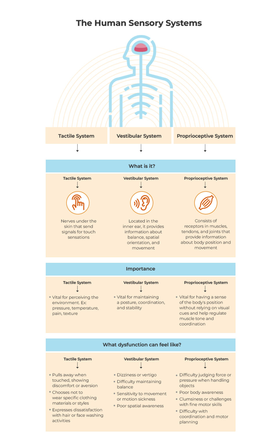 Sensory Issues and Autism: A Guide for Parents & Caregivers